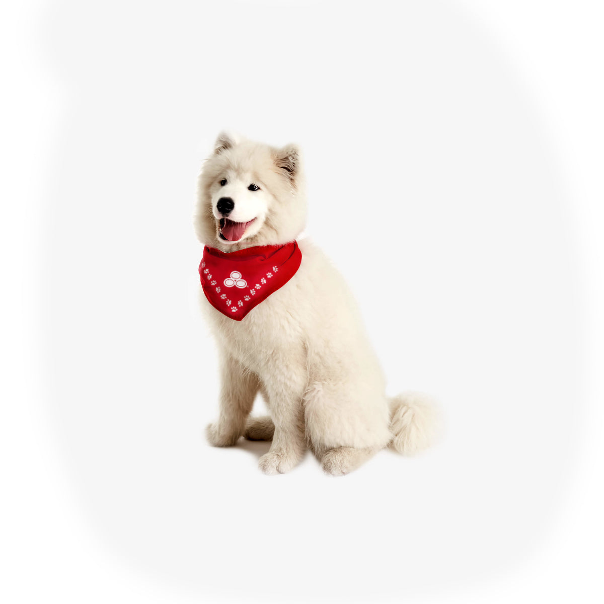 Large Snap & Go Pet Bandana – State Farm - Wallace Graphics